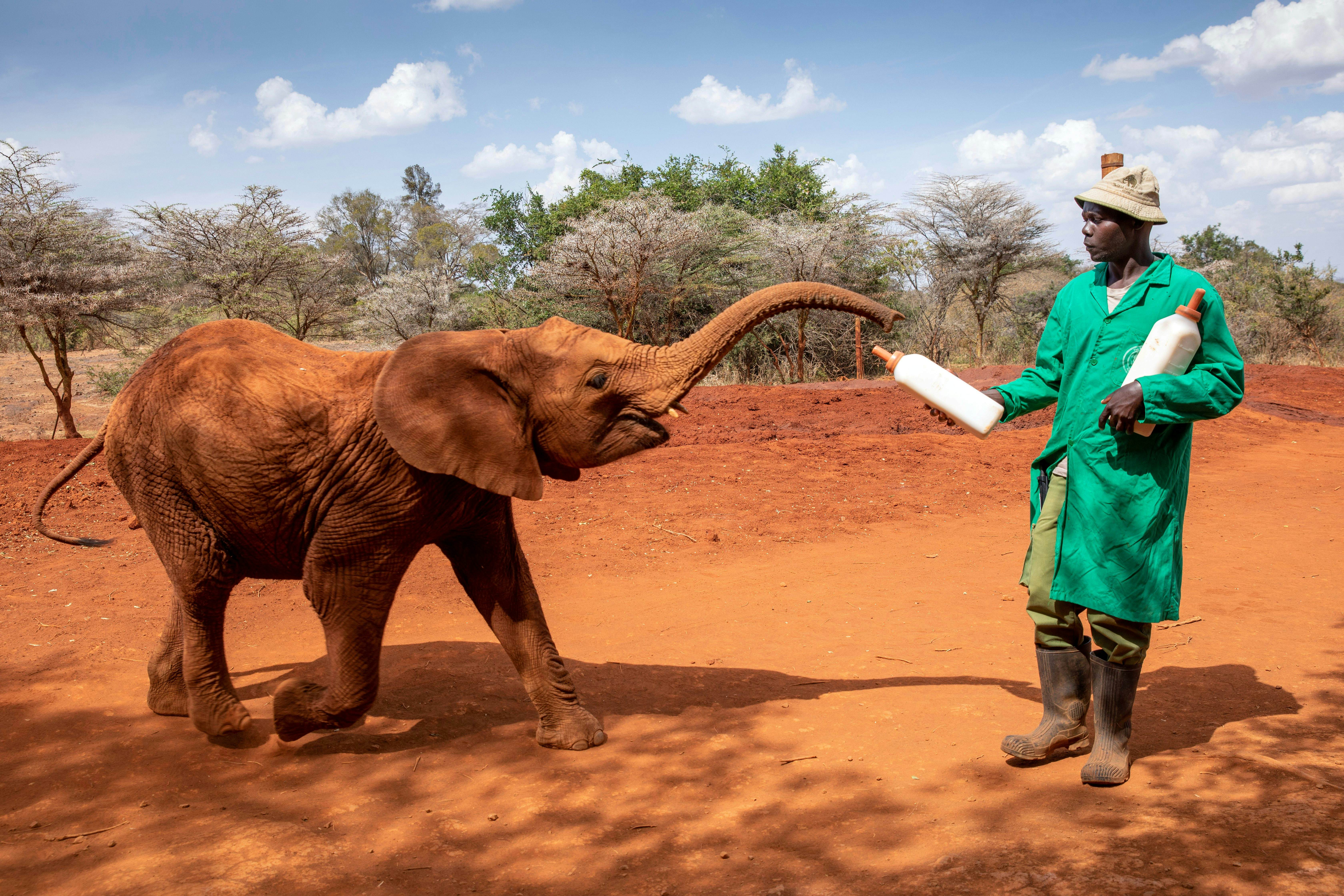go-down-arts-centre-nairobi-kenya-attractions-lonely-planet